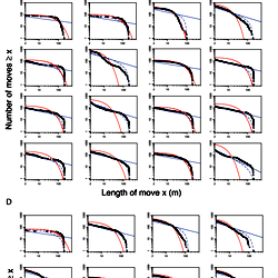 Rank/frequency plots of aggregated and individual data along with model ...