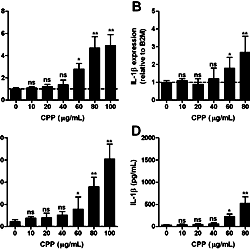 CPP induce TNF-α and IL-1β expression and secretion from macrophages at high levels.
