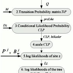 The flow diagram of MrBayes MC3.