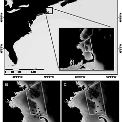 Map of the study location in the northwest Atlantic ocean.