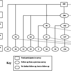 Flowchart of participant follow up.