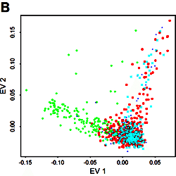 PCA from common variants, low frequency variants, and both types of ...