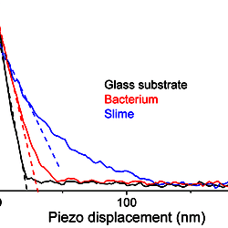 AFM approach curves.