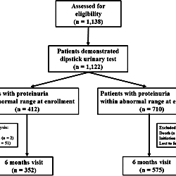 Flow chart of the study design.