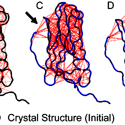 Illustration of the difference between the Elastic Networks.