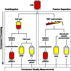 Schematic illustration of the design of the dual arm, split unit study ...
