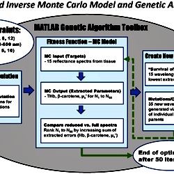 Diagram of combined Monte Carlo reflectance model and genetic algorithm.