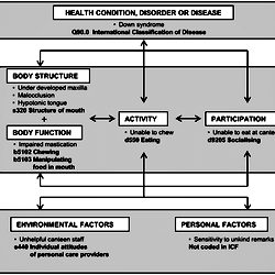 Interactions between the components of the ICF model with an oral ...