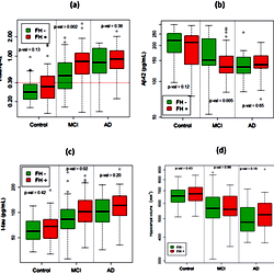 CSF Biomarkers and Hippocampal Volume in CN, MCI, and AD by FH status.