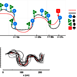 Controlling turtle's walking path.