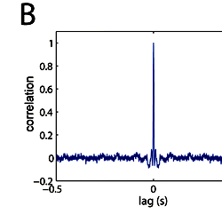Statistical properties of the background noise driving the brain network.