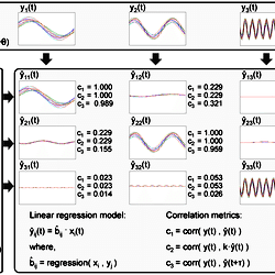 Illustration of the model and metric properties.