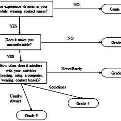 The Berkeley Dry Eye Flow Chart (DEFC).