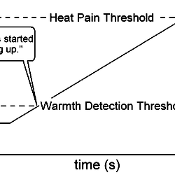 Schematic of thermal quantitative sensory testing (tQST) method for ...