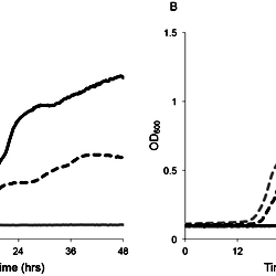 AHLs upregulate the maltose operon and enhance growth on maltose.
