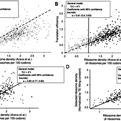 Comparison between translation efficiency (TE) and total ribosome density.