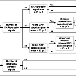 Decision tree of the life cycle stage classification criteria.