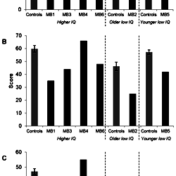 Performance on (A) the CFPT, (B) the CFMT and (C) a famous faces test.