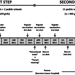 Design of the study (timeline).