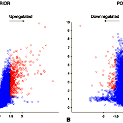 Volcano plots representing corrected p-values (ordinates, −log10 scale ...