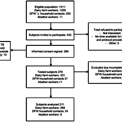 Flow chart of enrollment.