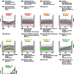 Co-expression clusters.
