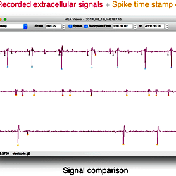 MEA Viewer provides 5 interactive visualizations of electrophysiological data.