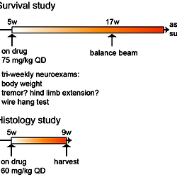 Study design and timelines.