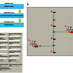 Schematic diagram of the software architecture.