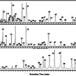 Chromatogram of HPLC-TOF-MS for phenolic compounds in tea leaves: (A) Total ion chromatography ...