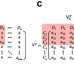 Singular Value Decomposition (SVD) on a term document matrix and the ...