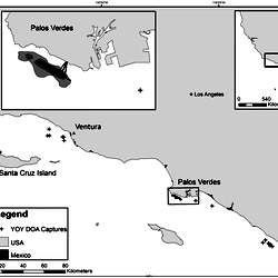 Map of the study area in the Southern California Bight (SCB).