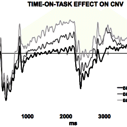 Time-on-task effect.