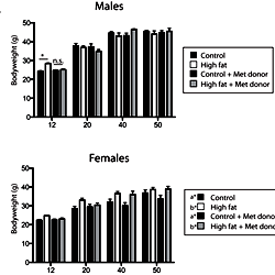 Body weight change over time.