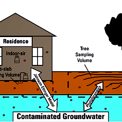 Schematic of the interplay between vapor intrusion, the built ...