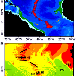Analysis of lower bathyal area of the Atlantic Ocean.