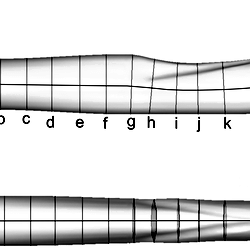 Cross-section positions at various downstream locations: lateral (top ...
