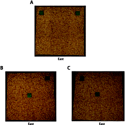 The OLM paradigm features novel and familiar object locations.