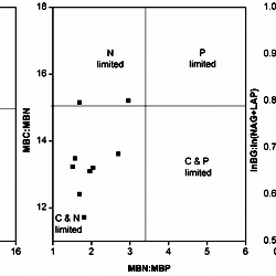 Scatter plots of C:N:P stoichiometry for soil chemistry, microbial biomass, and eco-enzymatic ...