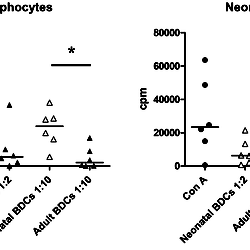 Adult and neonatal lymphocytes mixed leukocyte reaction (MLR) assay.