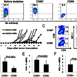 DAC educated CD80 positive, but not CD80 negative EL4 cells induce T ...