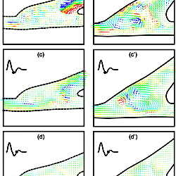 Side-by-side comparison of the two grafts for a rest cardiac cycle and ...