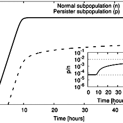 Subpopulations in exponential and stationary phase.