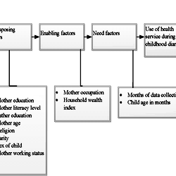 Conceptual framework for health service utilization and diarrhoea ...