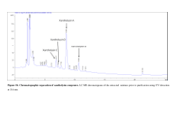 The Antimicrobial Compound Xantholysin Defines a New Group of ...