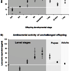 Transgenerational immune priming effects on immune activity of ...