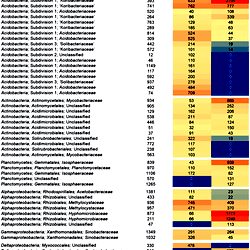 Heat map showing the most abundant OTUs and their distribution in ...