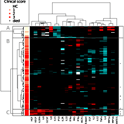 Heatmap of cluster analysis.