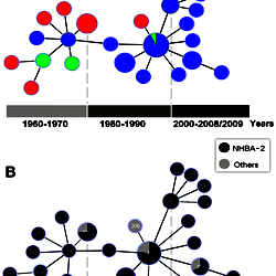 The evolution of cc41/44 over 50 years.