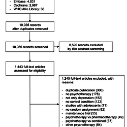 Flowchart of study inclusion.